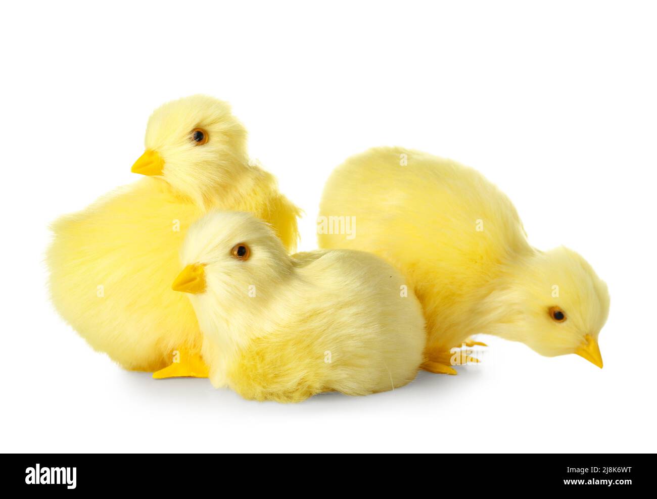 Cute yellow chickens isolated on white Stock Photo - Alamy