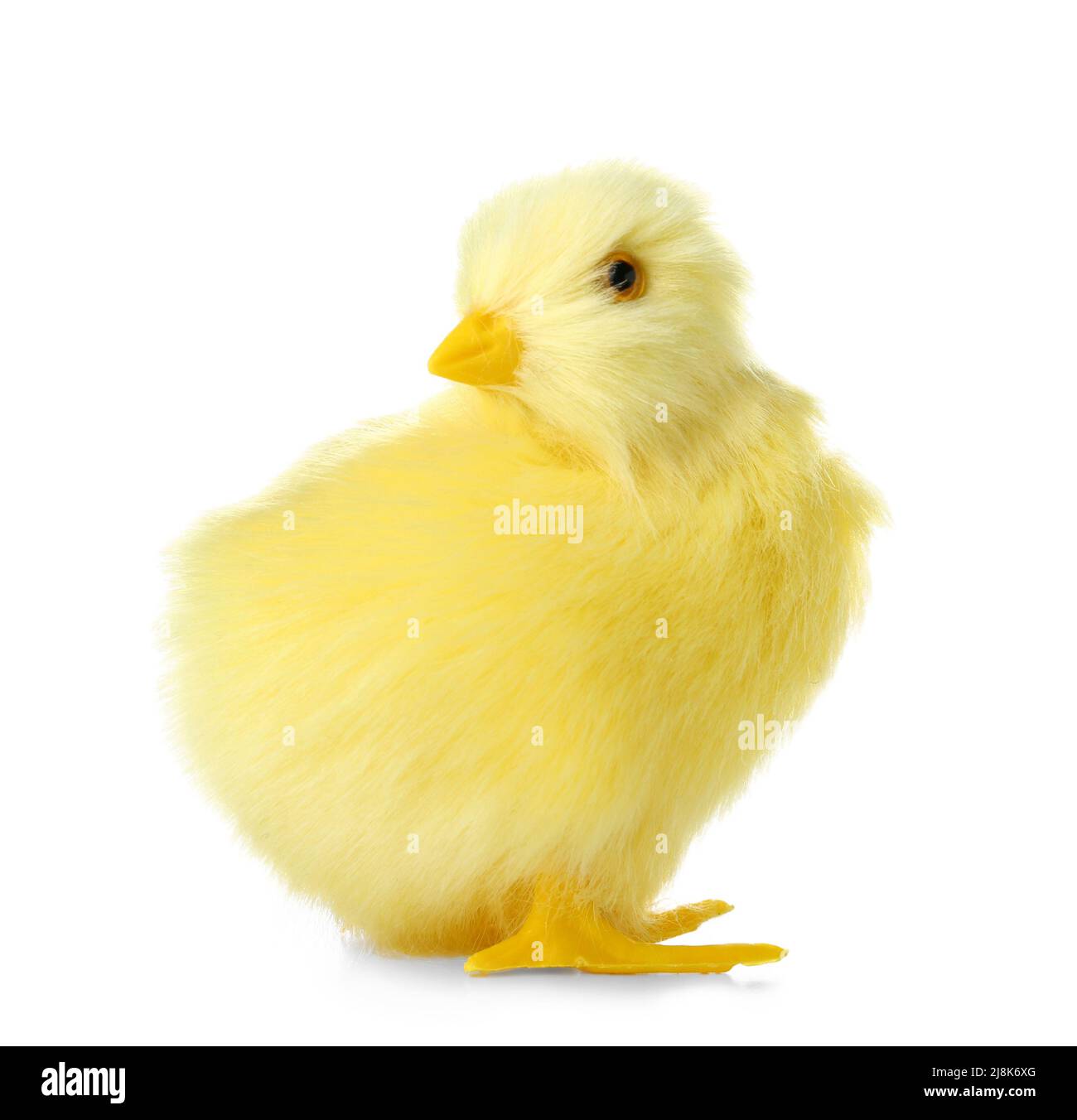 Cute yellow chicken isolated on white Stock Photo - Alamy