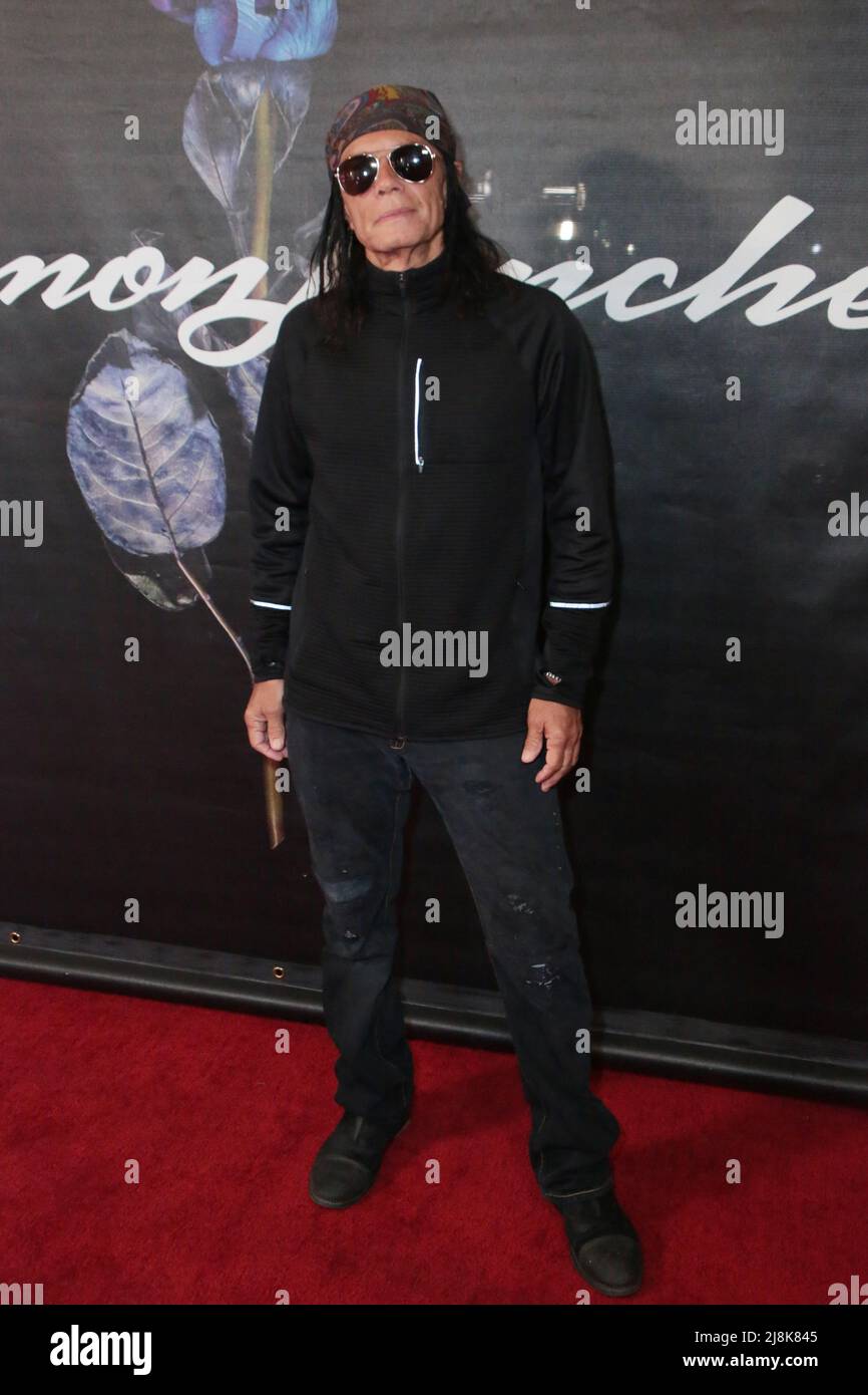 Native wayne hi-res stock photography and images - Alamy