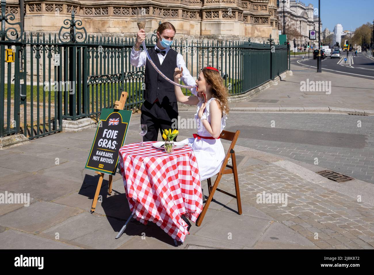 PETA protests outside The Houses of Parliament, to end the sale and ...