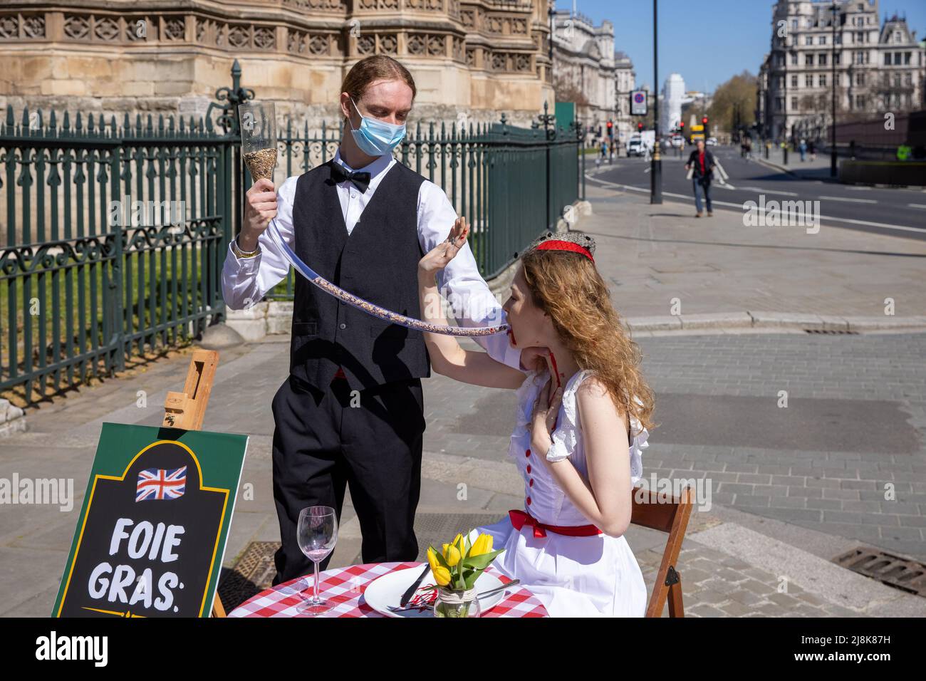 PETA protests outside The Houses of Parliament, to end the sale and ...