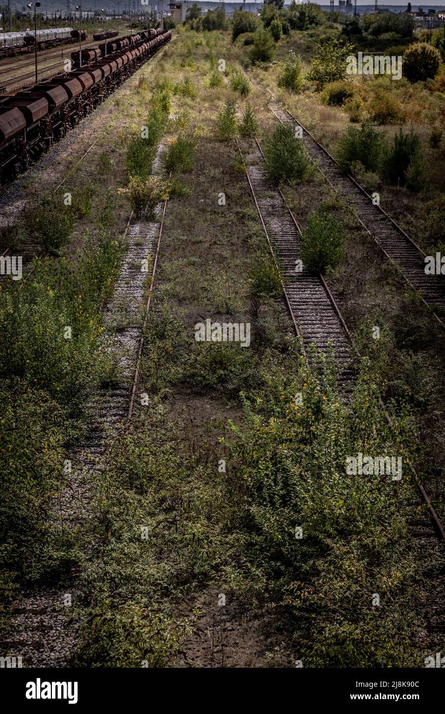 Old abandoned trains at a train graveyard in France Stock Photo - Alamy