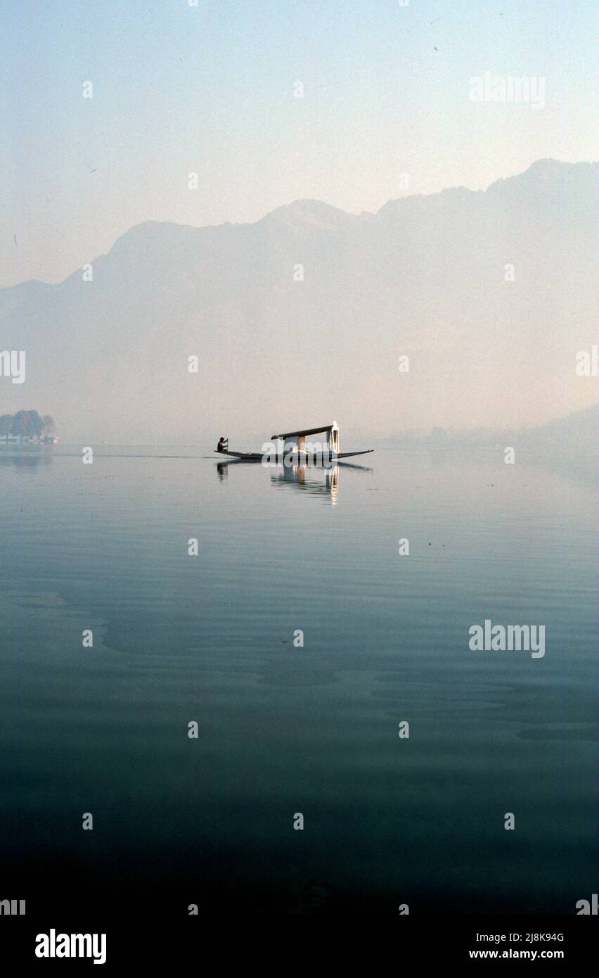 Shikara boats on Dal Lake in Kashmir 1986 Stock Photo - Alamy