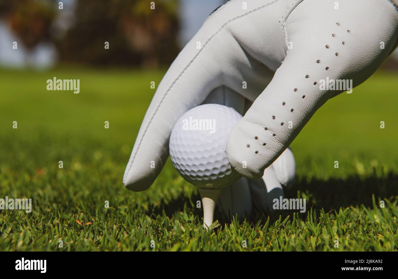 Hand putting golf ball on tee in golf course. Golf ball in grass. Golf ...