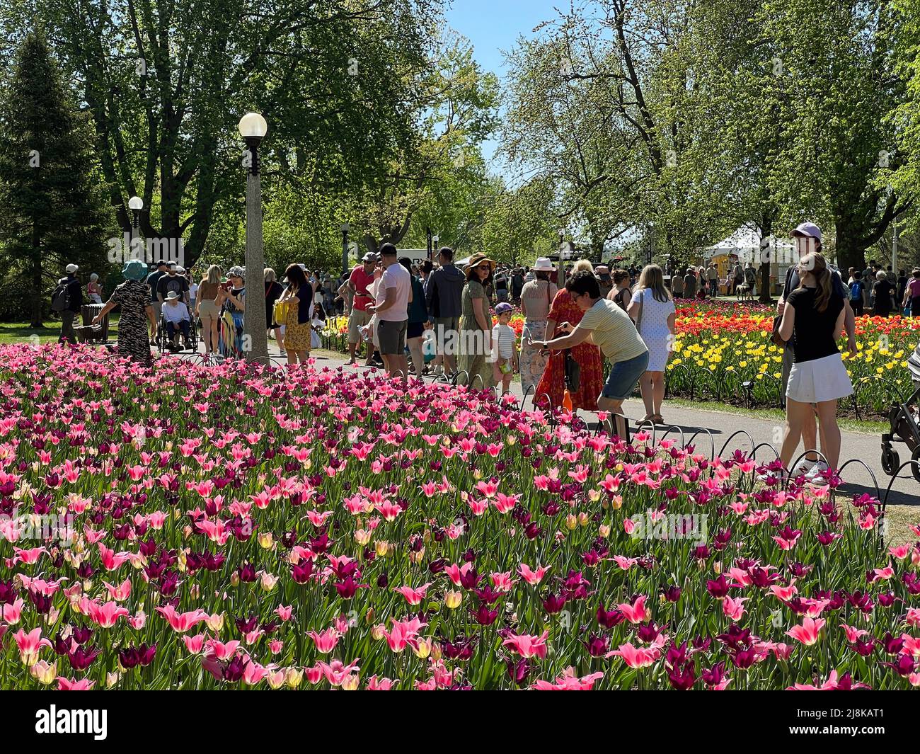 Ottawa, Ontario, Canada - May 14, 2022: Crowds of people enjoy the ...