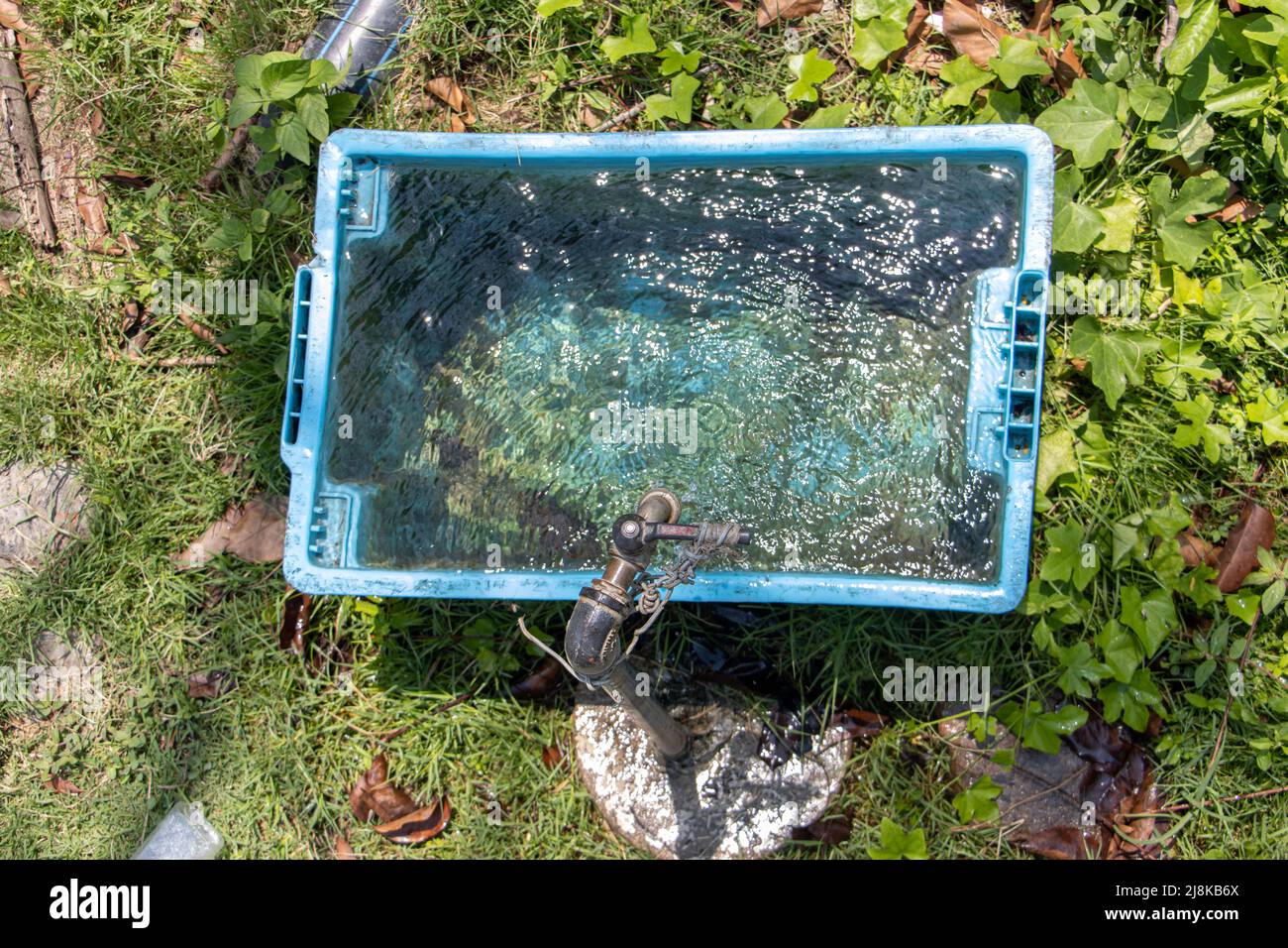 A water drips from an outdoor tap into a plastic container Stock Photo ...