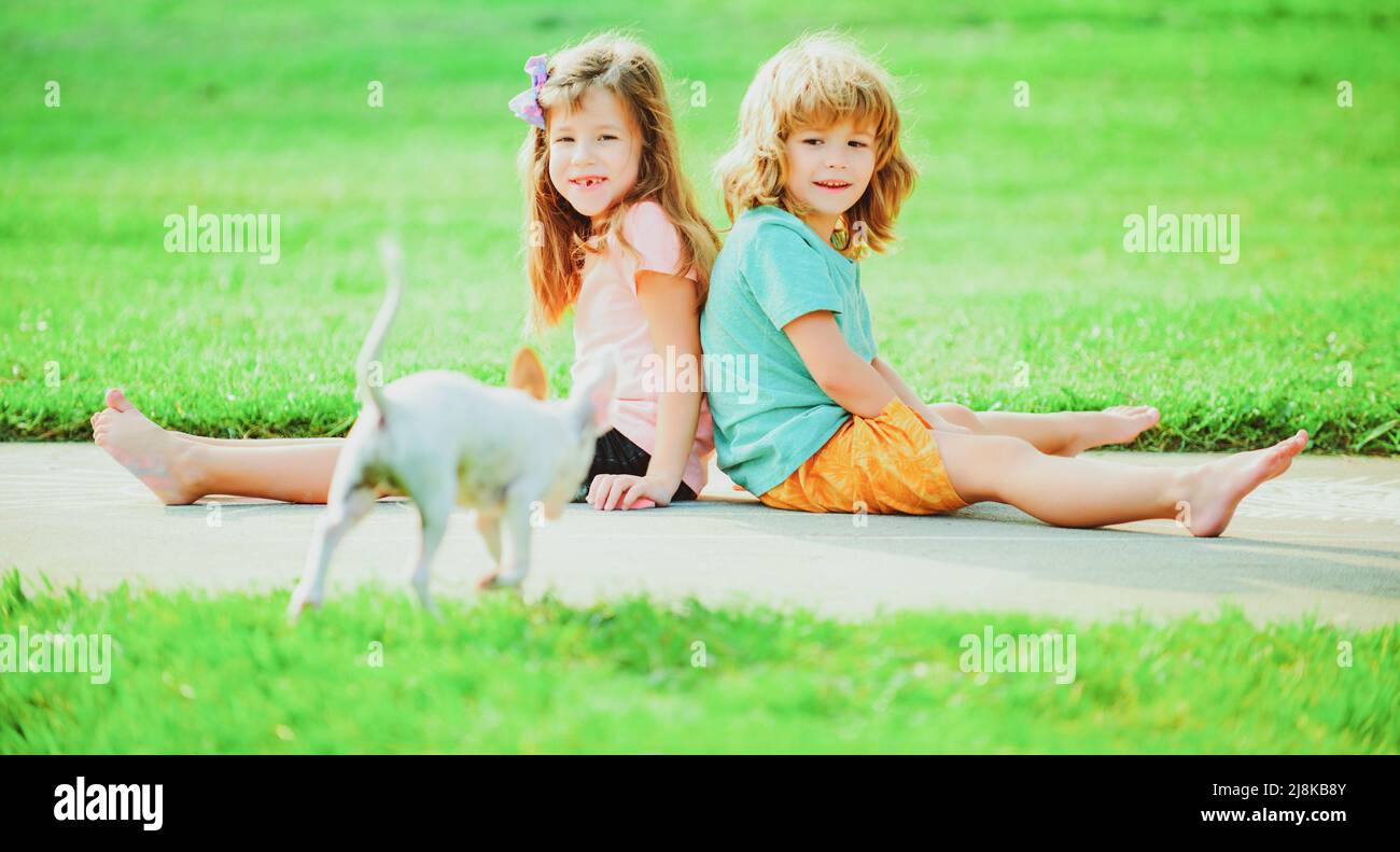 Kids playing outdoor with little dog at park. Kids adaptation Stock ...