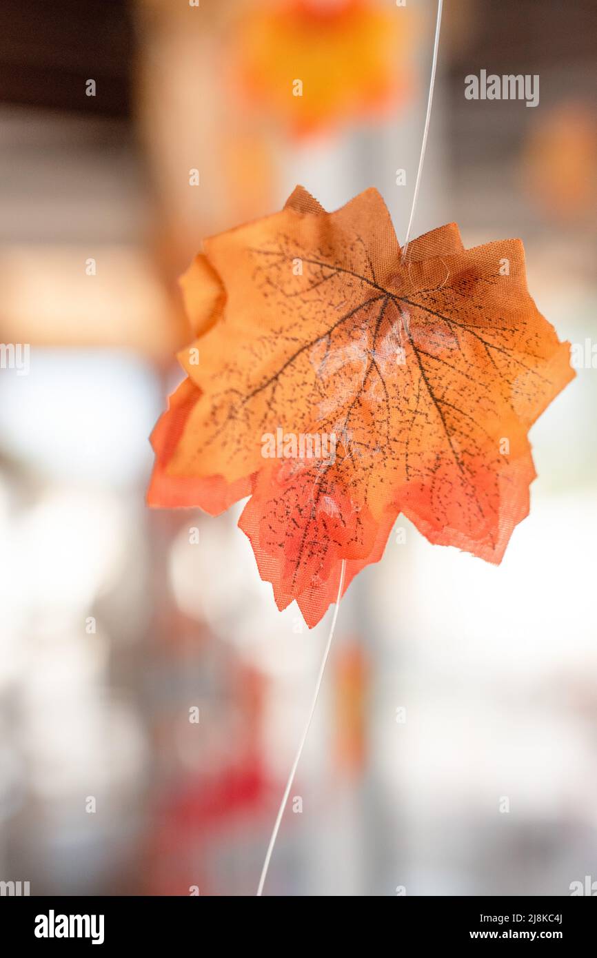 Hoja de maple hi-res stock photography and images - Alamy