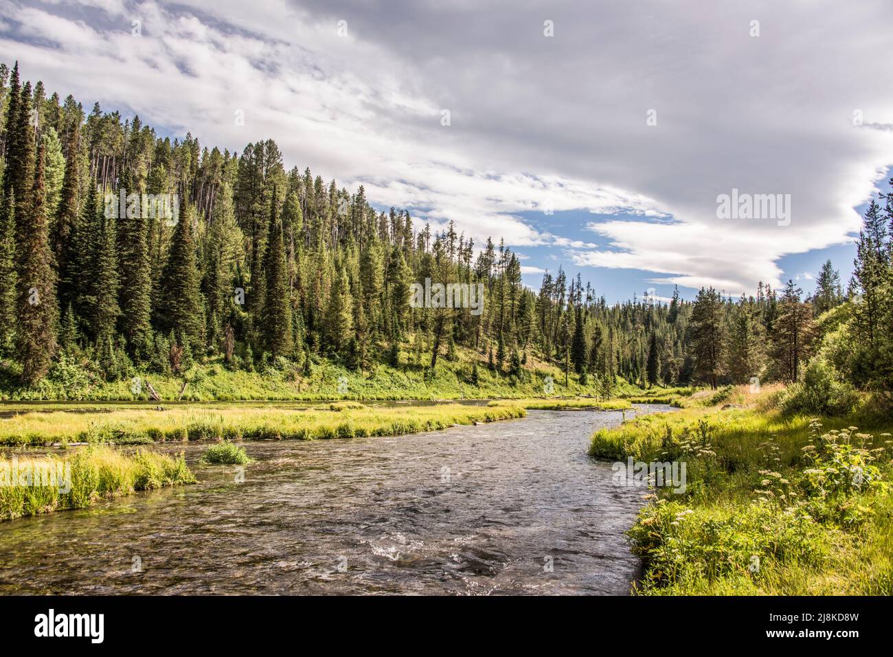 Hope springs hi-res stock photography and images - Alamy