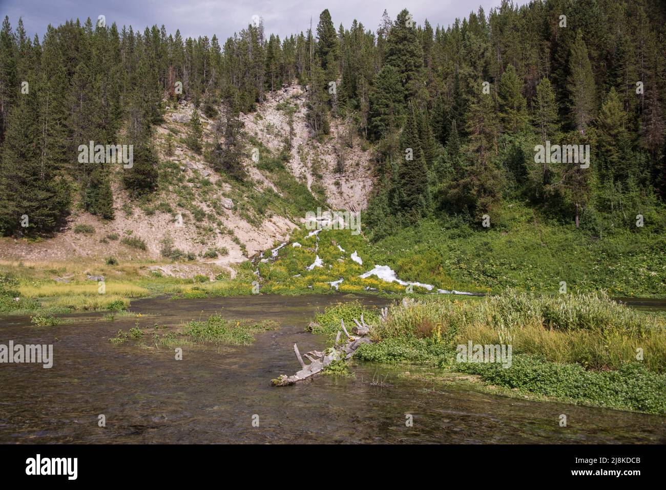 Hope springs hi-res stock photography and images - Alamy