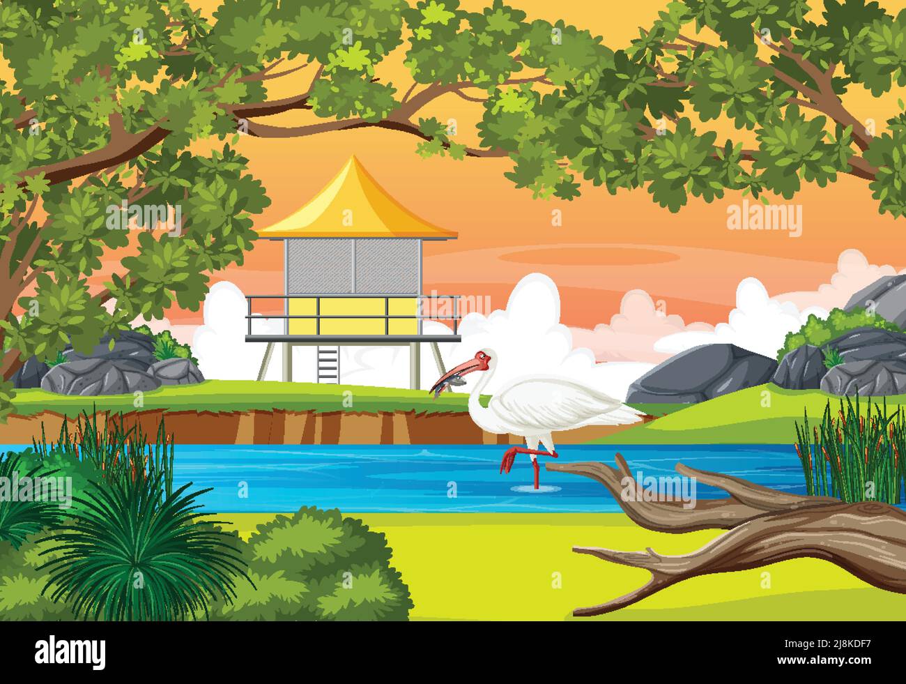 Ibis bird in the forest illustration Stock Vector Image & Art - Alamy