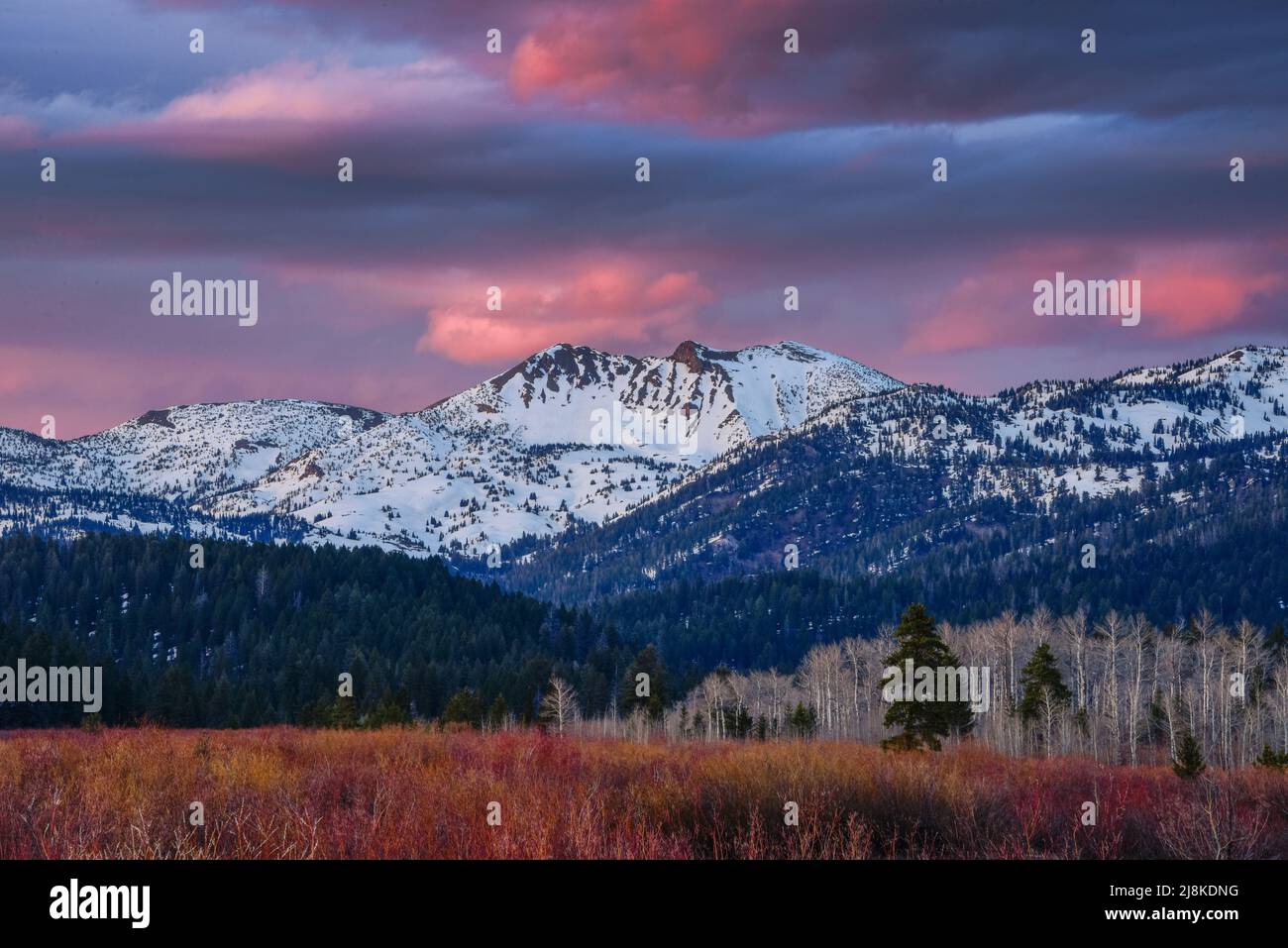 Mount Jefferson sunset, Island Park, Fremont County, Idaho, USA Stock ...