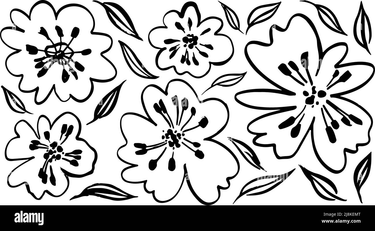 Linear floral black white Cut Out Stock Images & Pictures - Alamy