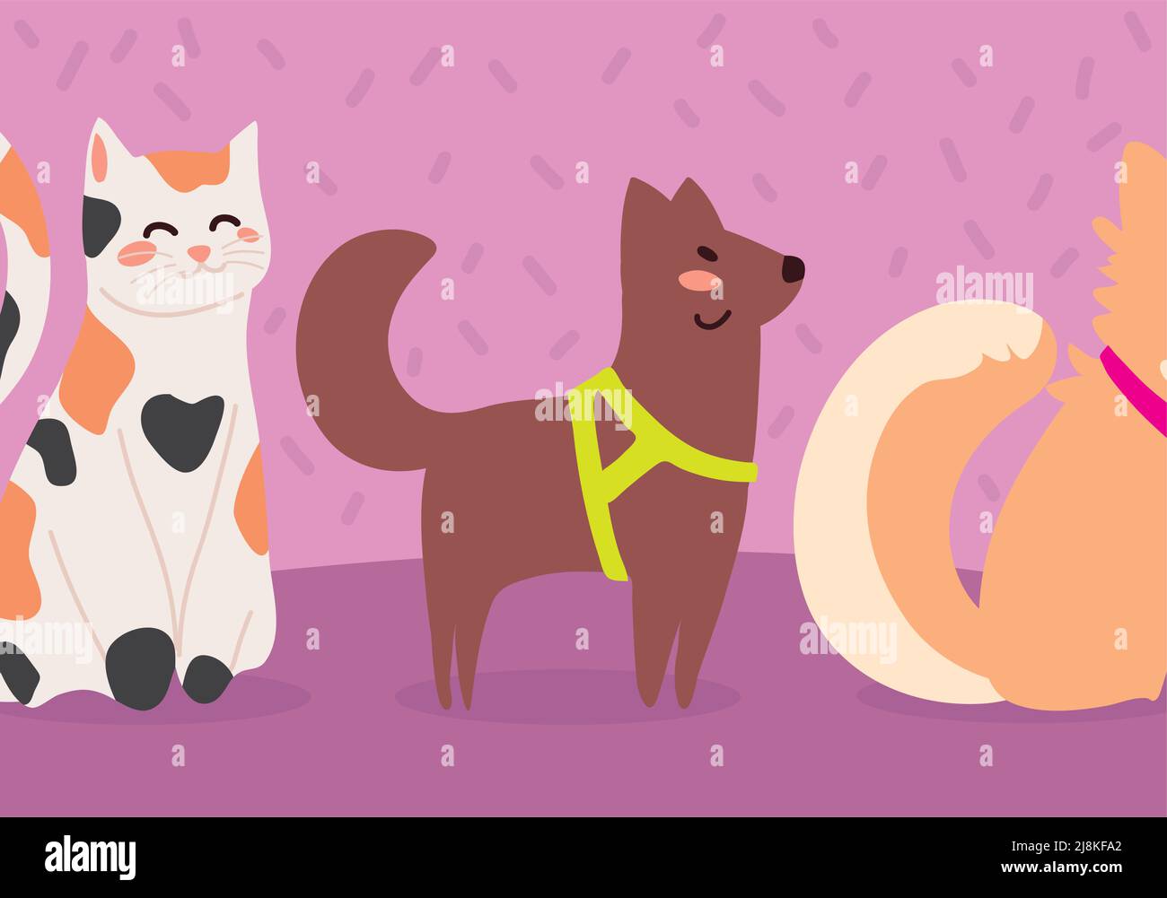 pets animals cartoon Stock Vector Image & Art - Alamy