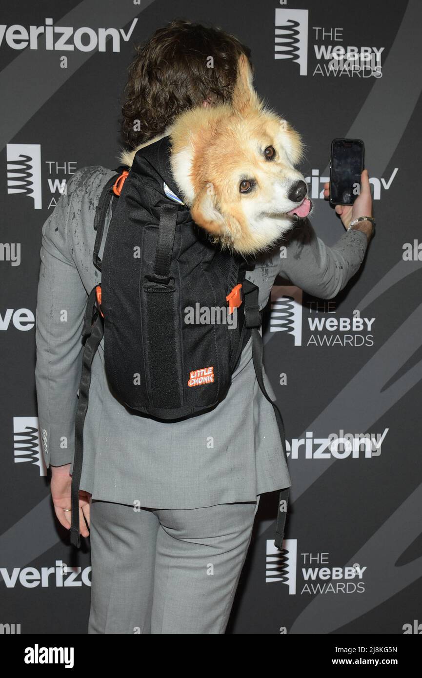 New York, USA. 16th May, 2022. Maxine the fluffy Corgi and Bryan ...