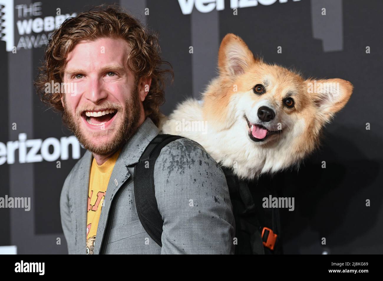 Maxine the fluffy corgi hi-res stock photography and images - Alamy