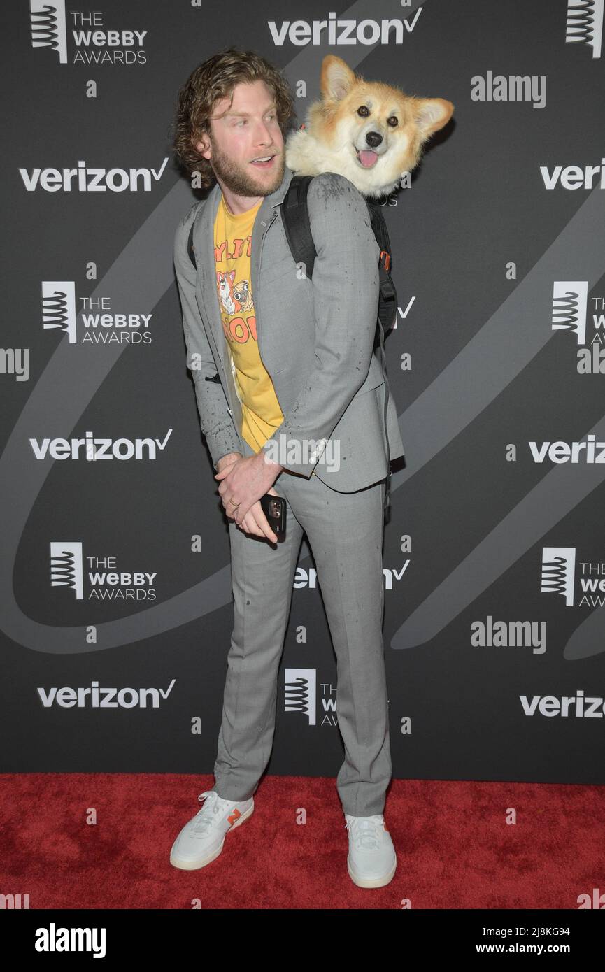 Maxine the fluffy corgi hi-res stock photography and images - Alamy