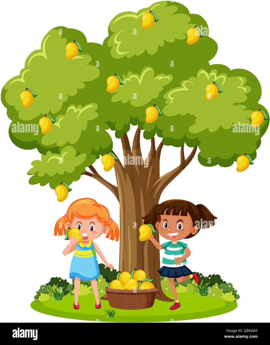 Kids harvesting mango from tree illustration Stock Vector Image & Art ...