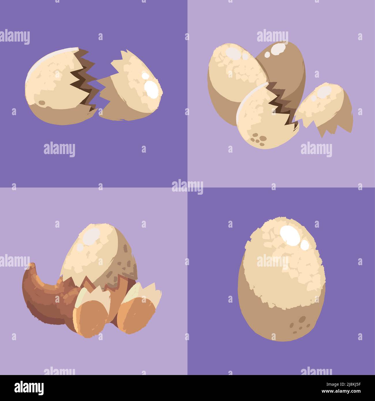 set of dinosaurs egg shell Stock Vector Image & Art - Alamy