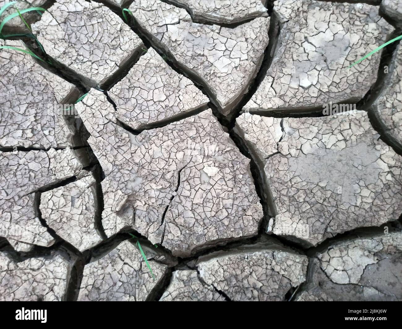 Dried marsh ground creating a cracked texture Stock Photo - Alamy
