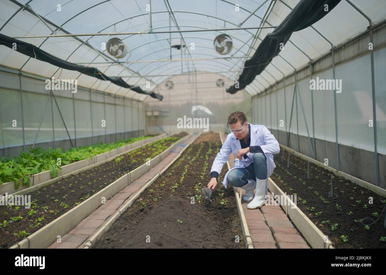 Agronomist farmer quality inspector holding are collecting data in ...