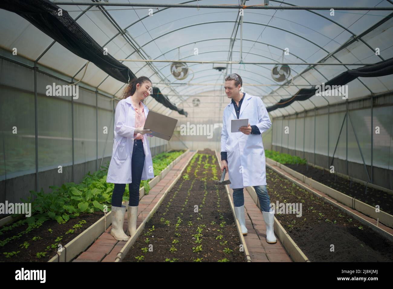 Agronomist farmer quality inspector holding are collecting data in ... Agronomist farmer quality inspector holding are collecting data in ...