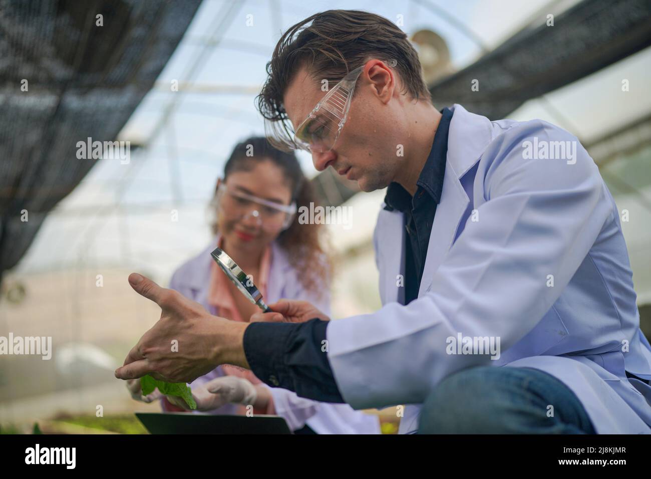 Agronomist farmer quality inspector holding are collecting data in ...