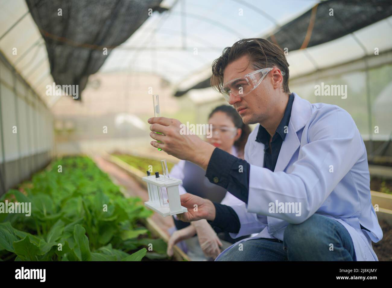 Agronomist farmer quality inspector holding are collecting data in ...