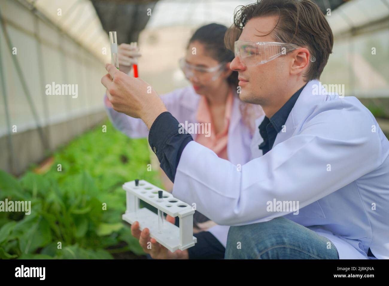 Agronomist farmer quality inspector holding are collecting data in ...