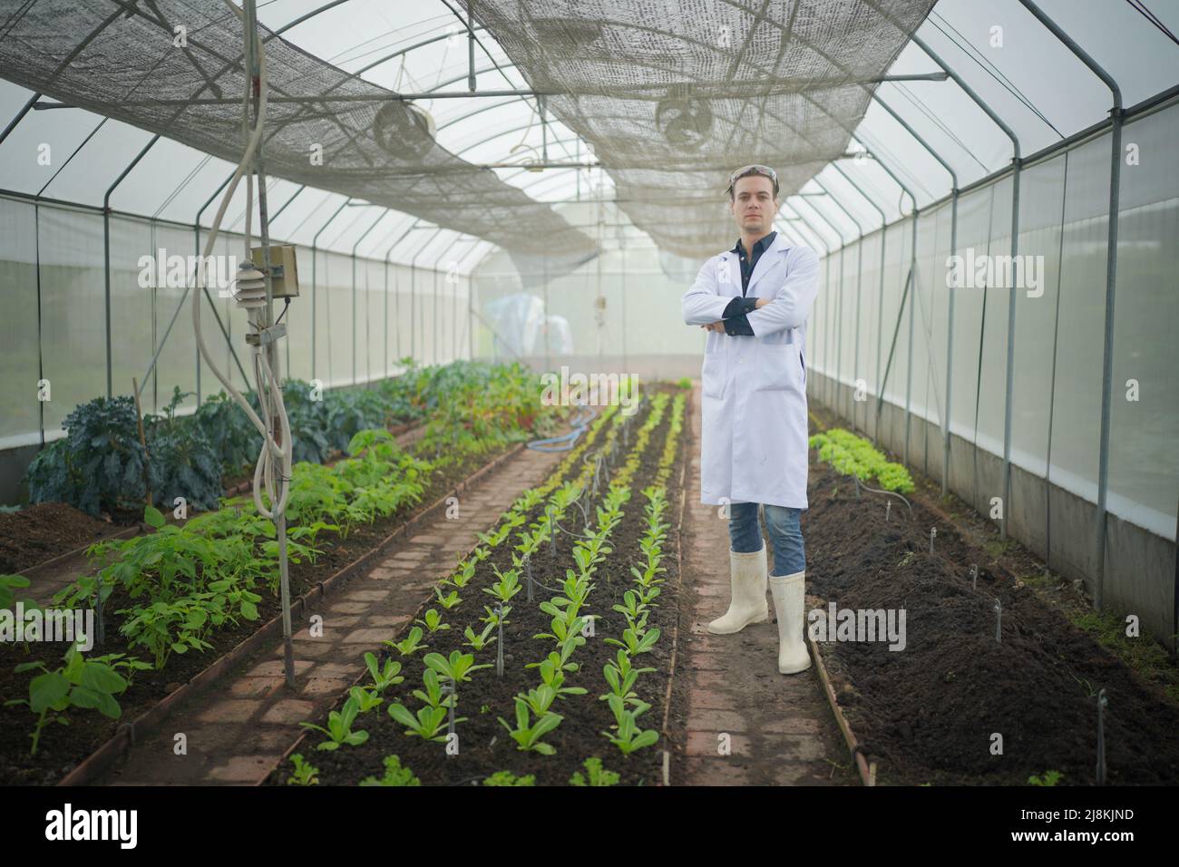 Agronomist farmer quality inspector holding are collecting data in ...