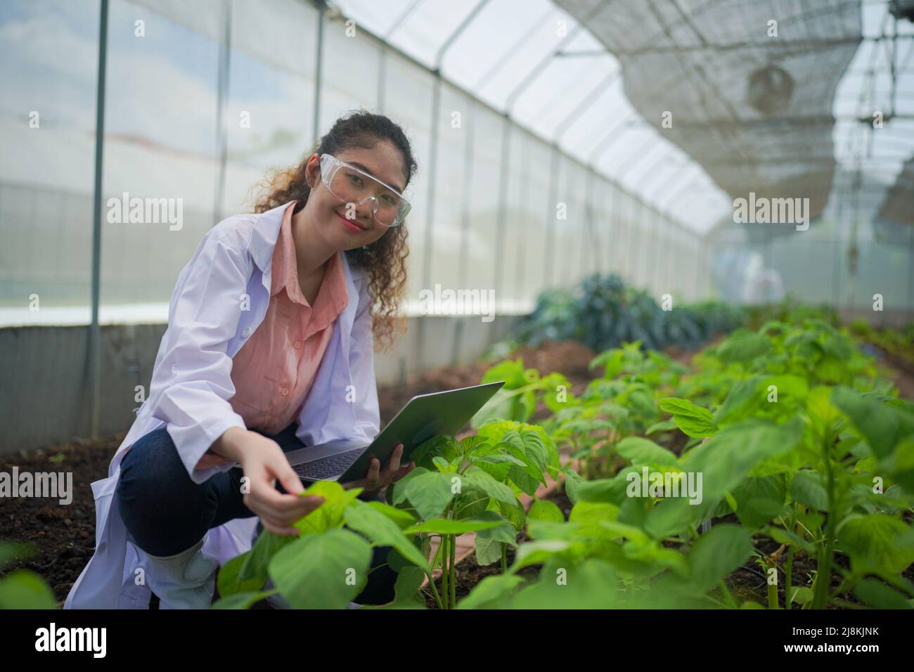 Agronomist farmer quality inspector holding are collecting data in ...