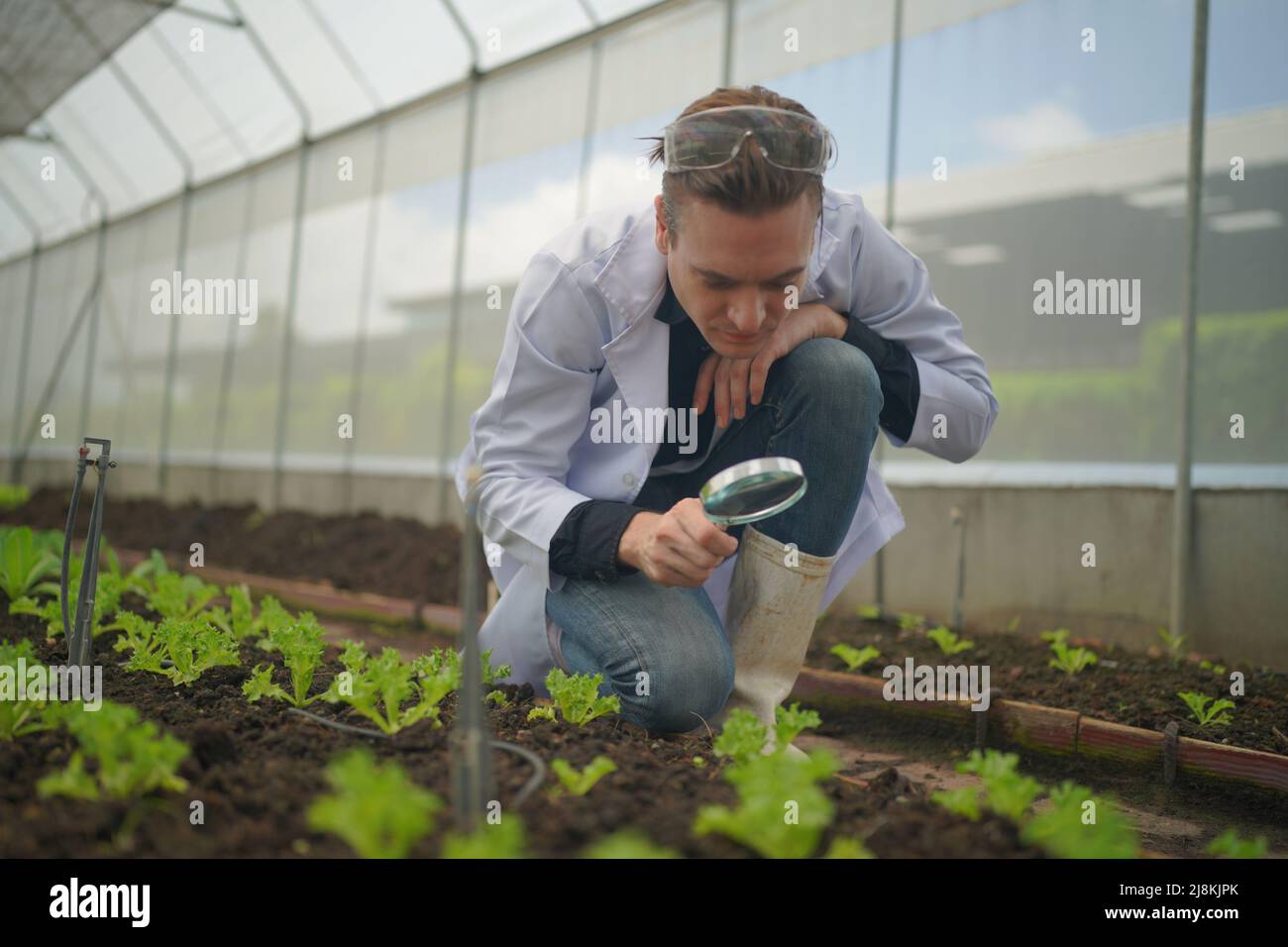 Agronomist farmer quality inspector holding are collecting data in ...