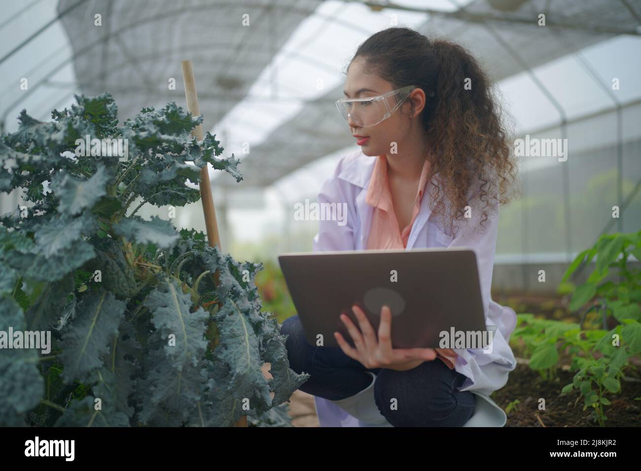 Agronomist farmer quality inspector holding are collecting data in ...