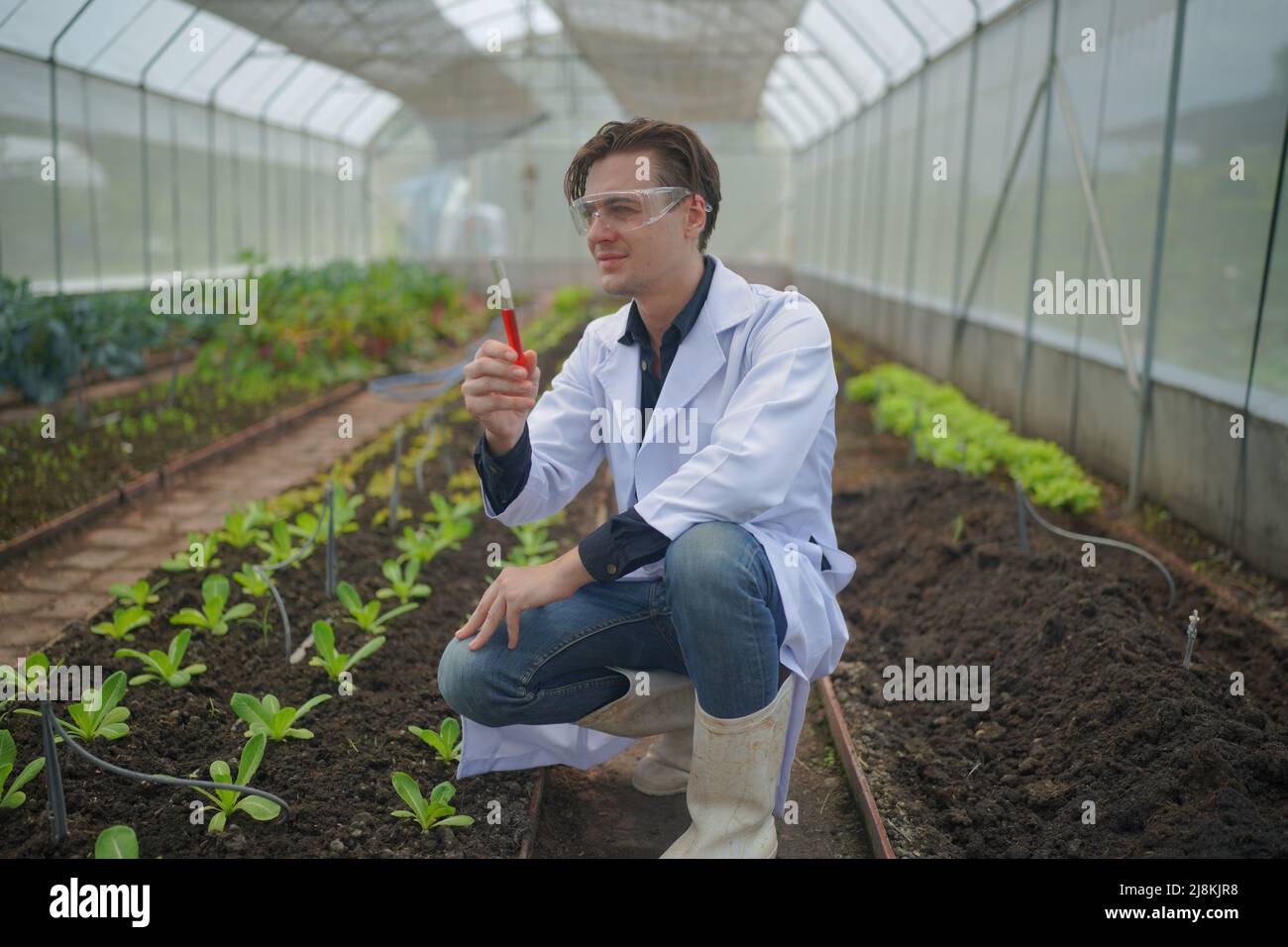 Agronomist farmer quality inspector holding are collecting data in ...