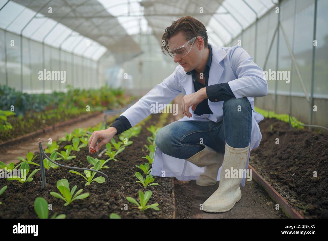 Agronomist farmer quality inspector holding are collecting data in ...