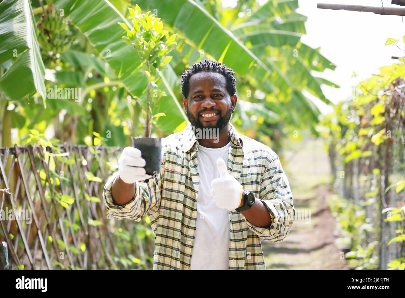 Agronomist farmer quality inspector holding are collecting data in ...