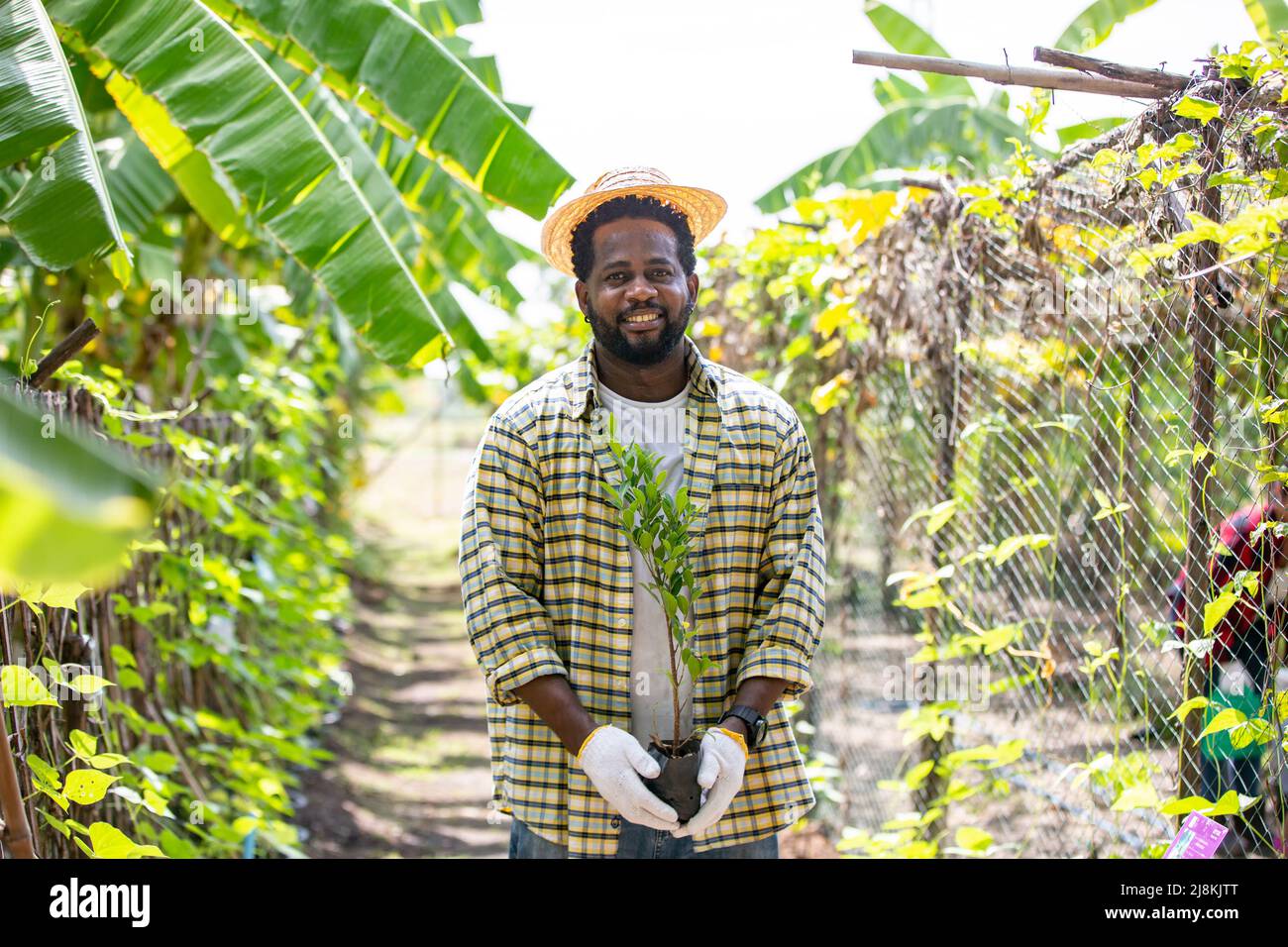 Agronomist farmer quality inspector holding are collecting data in ...