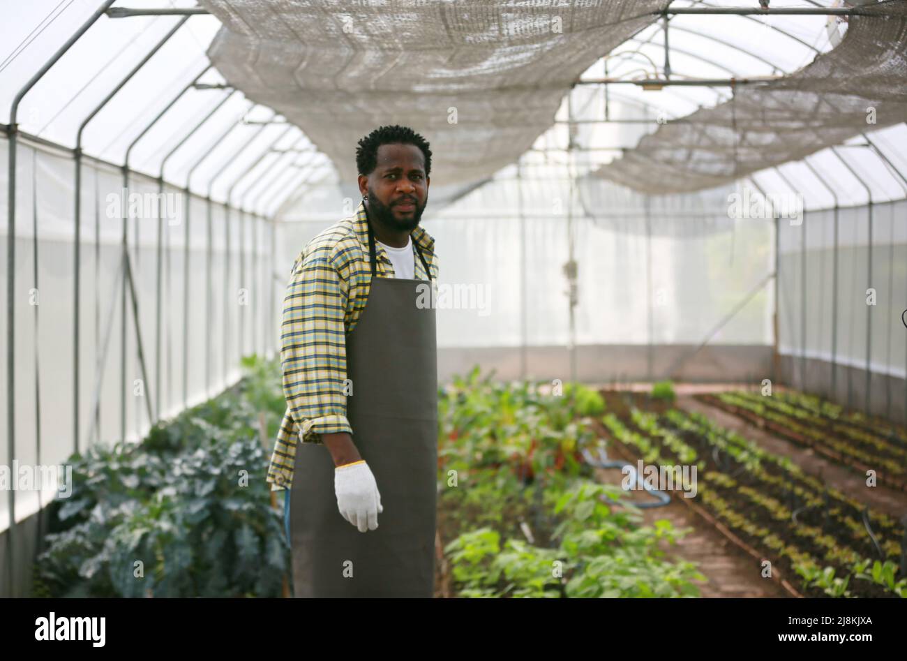 Agronomist farmer quality inspector holding are collecting data in ...