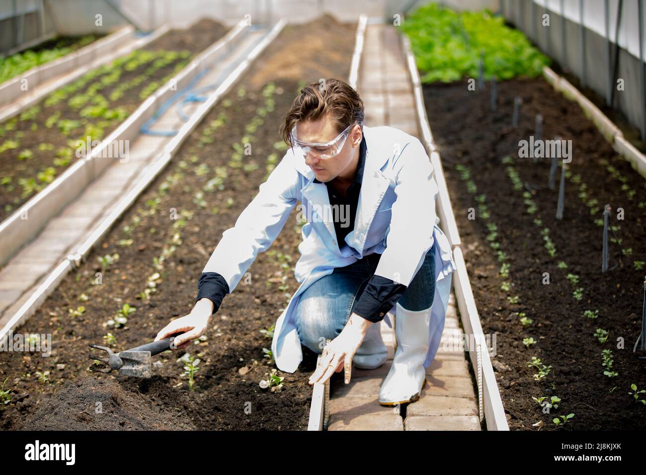 Agronomist farmer quality inspector holding are collecting data in ...