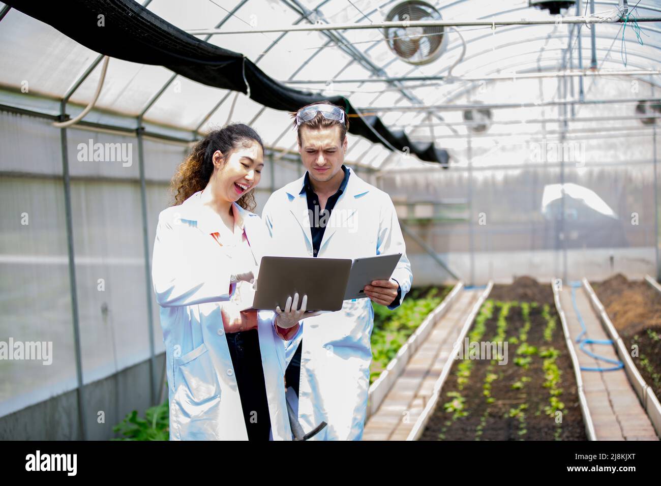 Agronomist farmer quality inspector holding are collecting data in ...