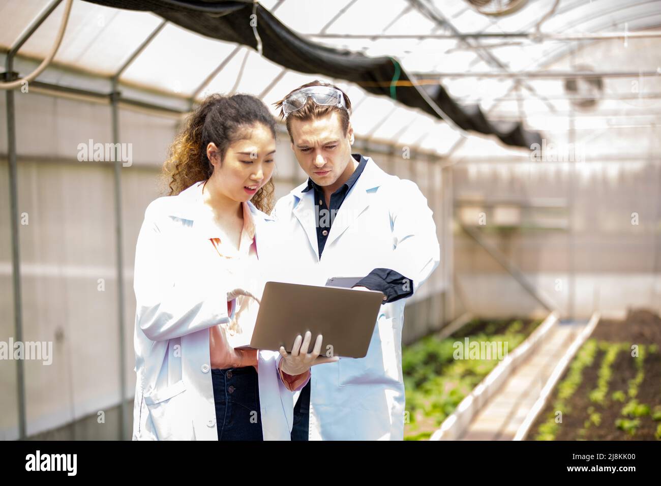 Agronomist farmer quality inspector holding are collecting data in ...