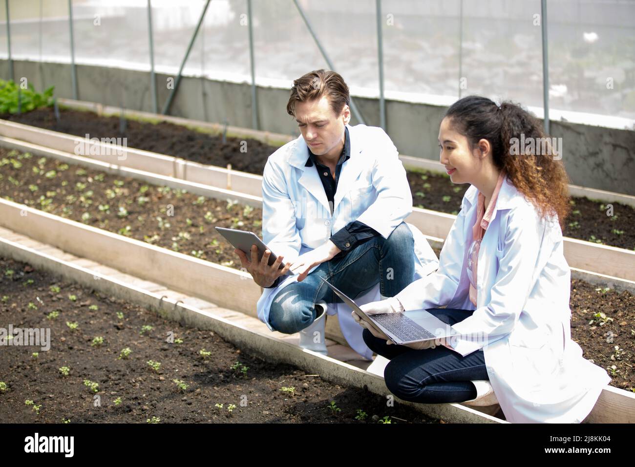 Agronomist farmer quality inspector holding are collecting data in ...