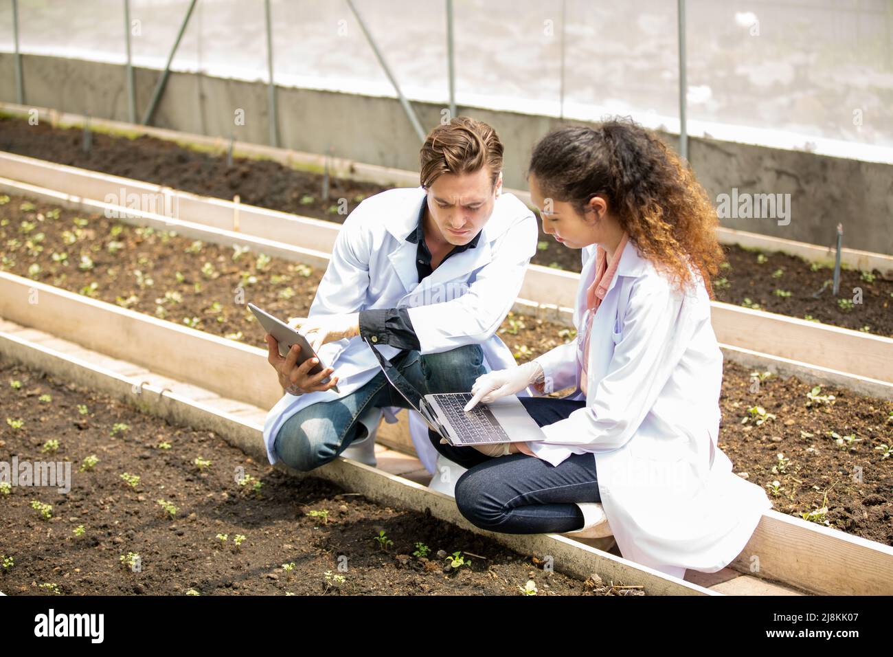 Agronomist farmer quality inspector holding are collecting data in ...