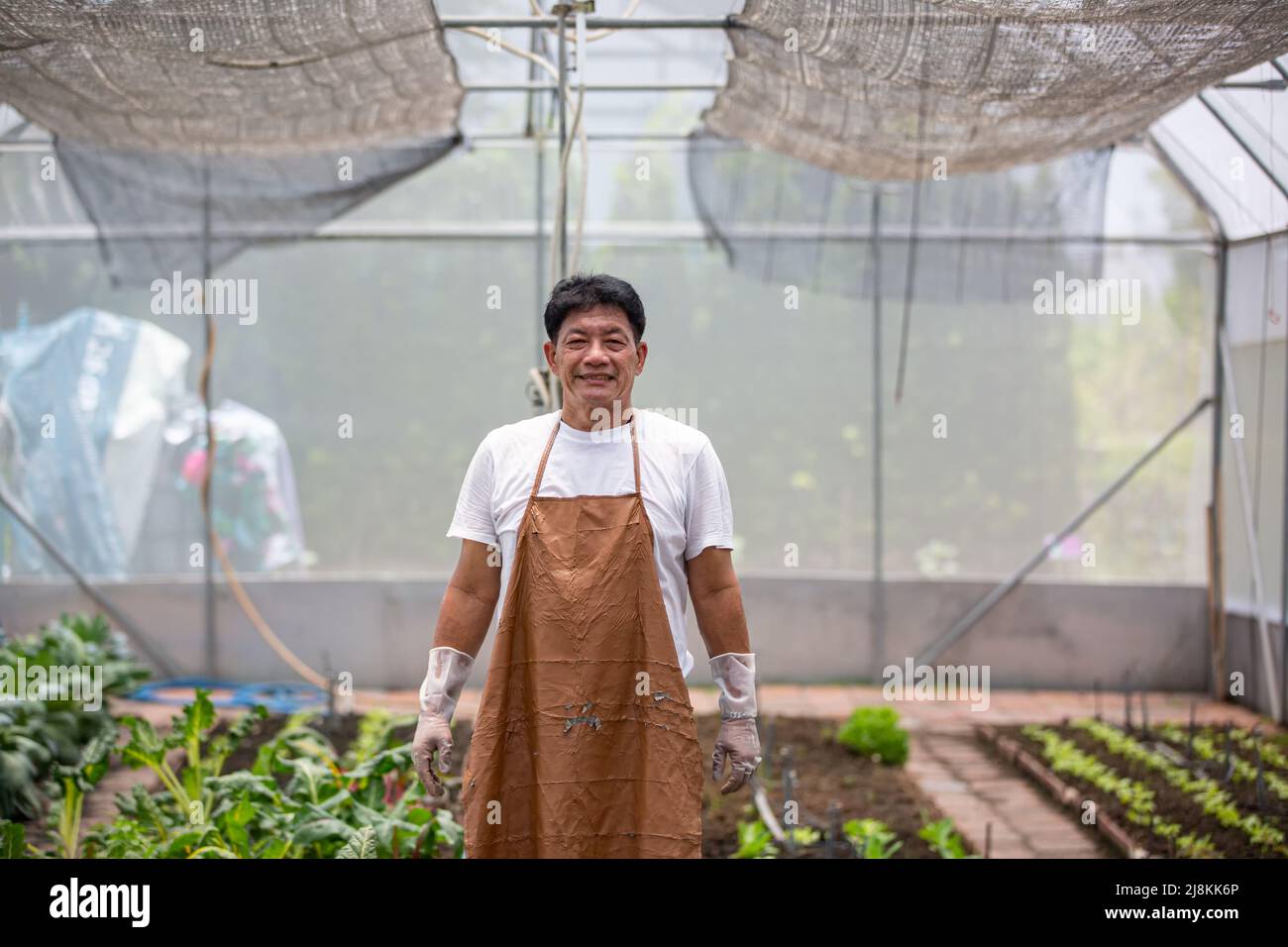 Agronomist farmer quality inspector holding are collecting data in ...