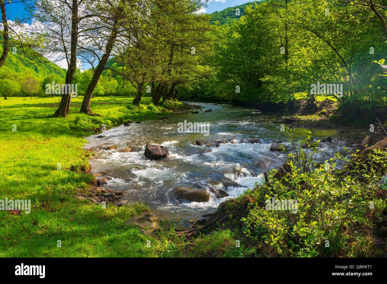 spring landscape with river among park. mountains in the distance ...