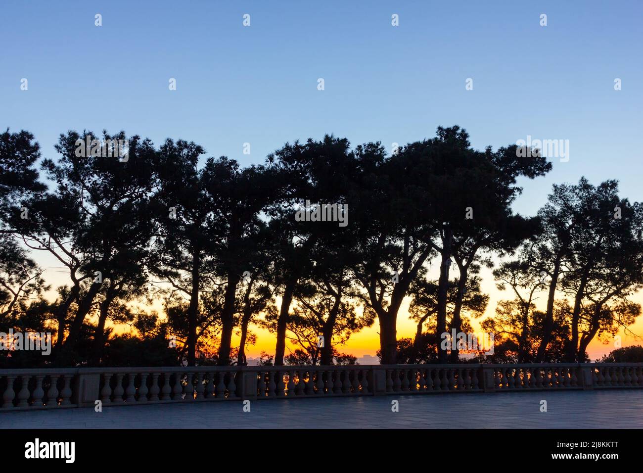 Sunrise through the trees in the upland park. Baku. Azerbaijan Stock ...