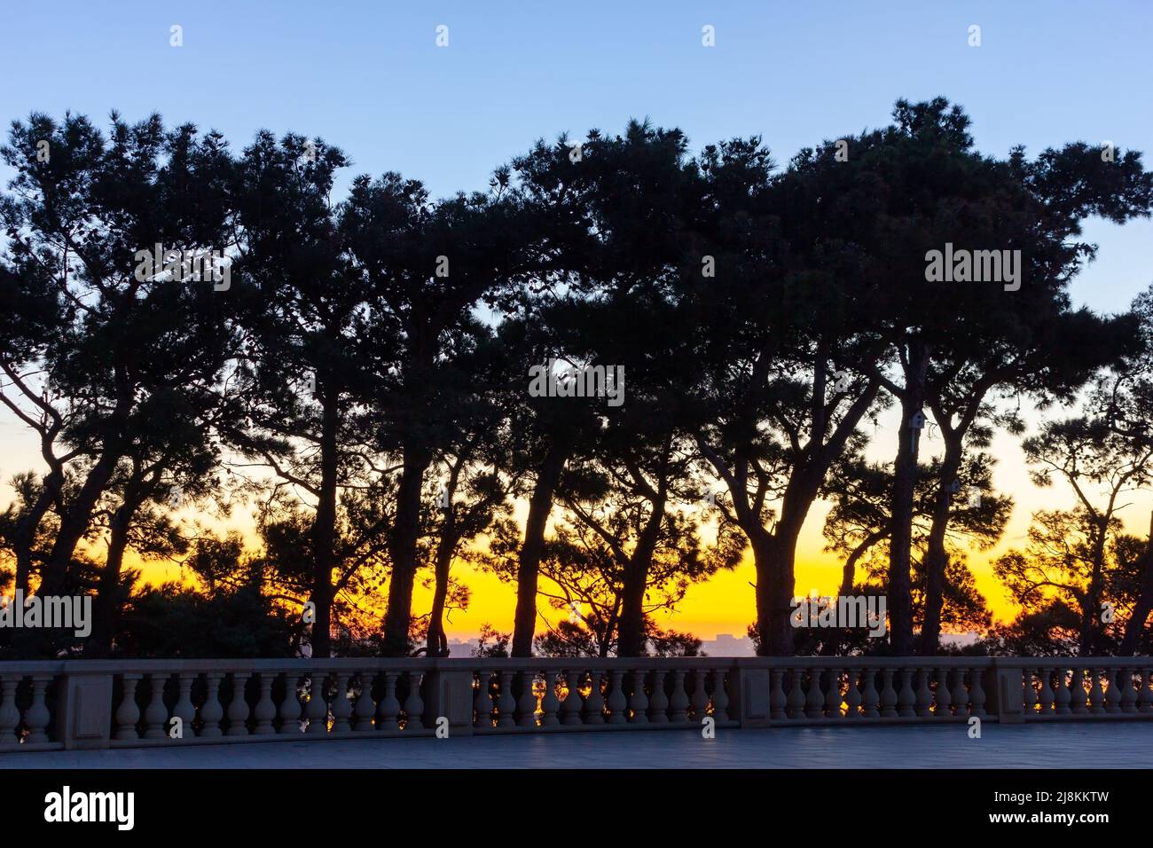 Sunrise through the trees in the upland park. Baku. Azerbaijan Stock ...
