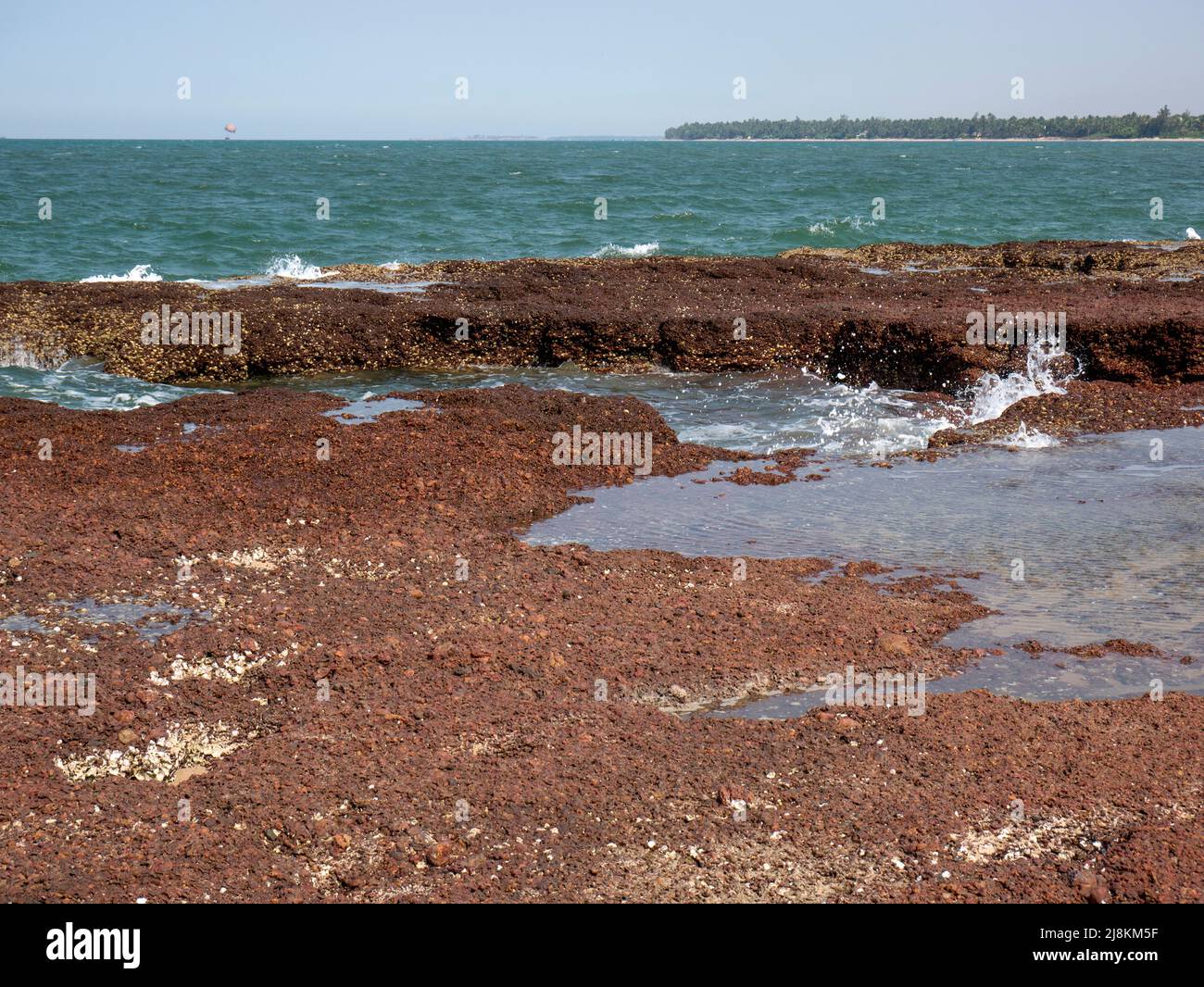 Sea waves and Laterite rock (Red Jambha stone) on Bhowe beach state ...