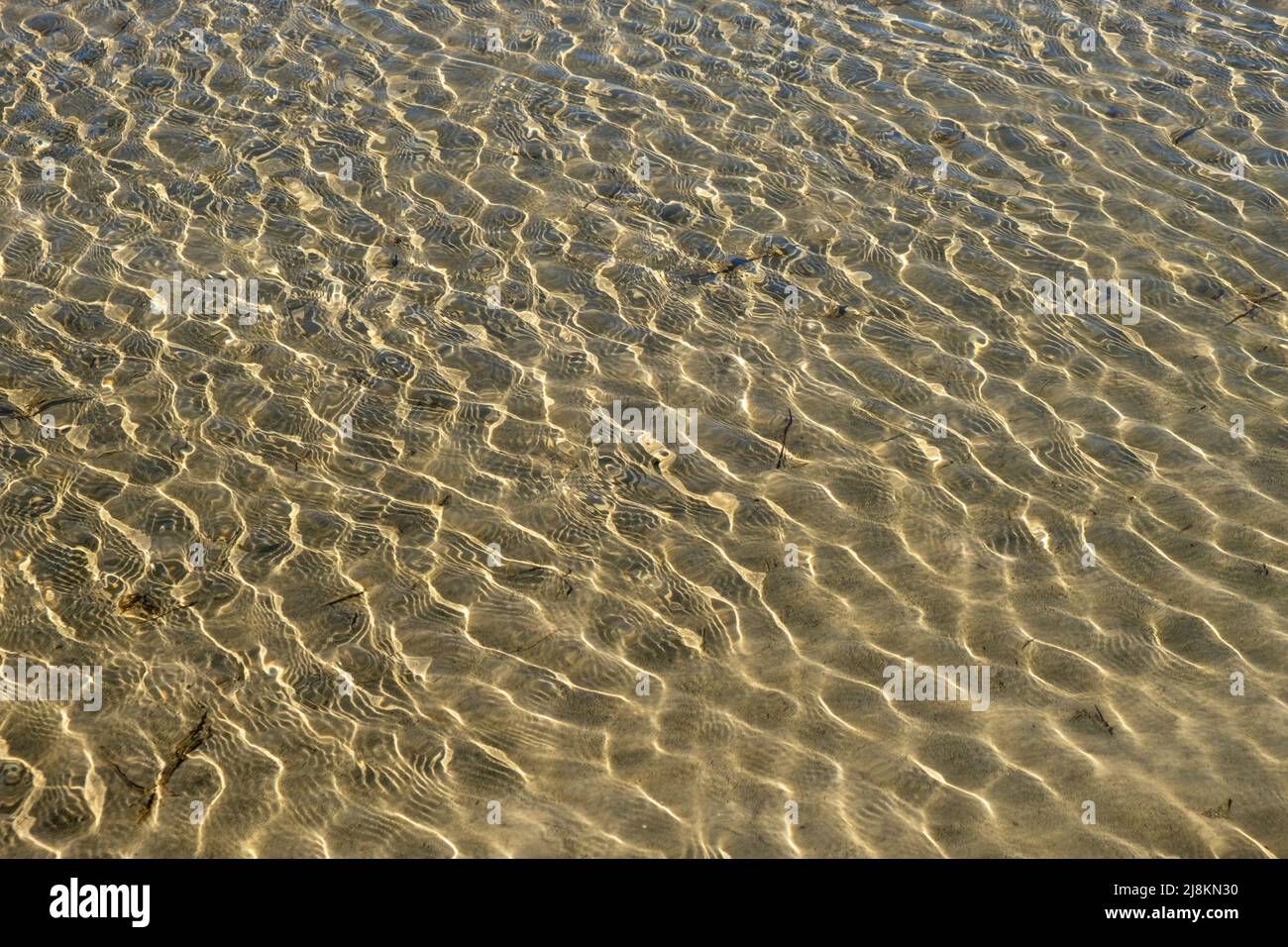 Wild sandy beach on Spiekeroog Stock Photo - Alamy