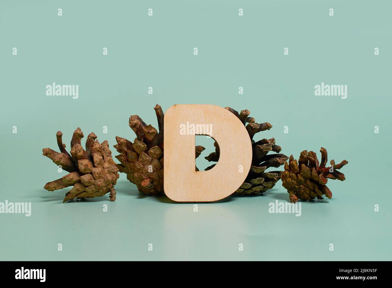 Letter D. A wooden letter of the English alphabet and four pine cones ...